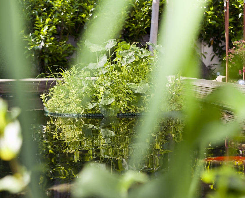 Flohs ️ Floating plant islands for every water